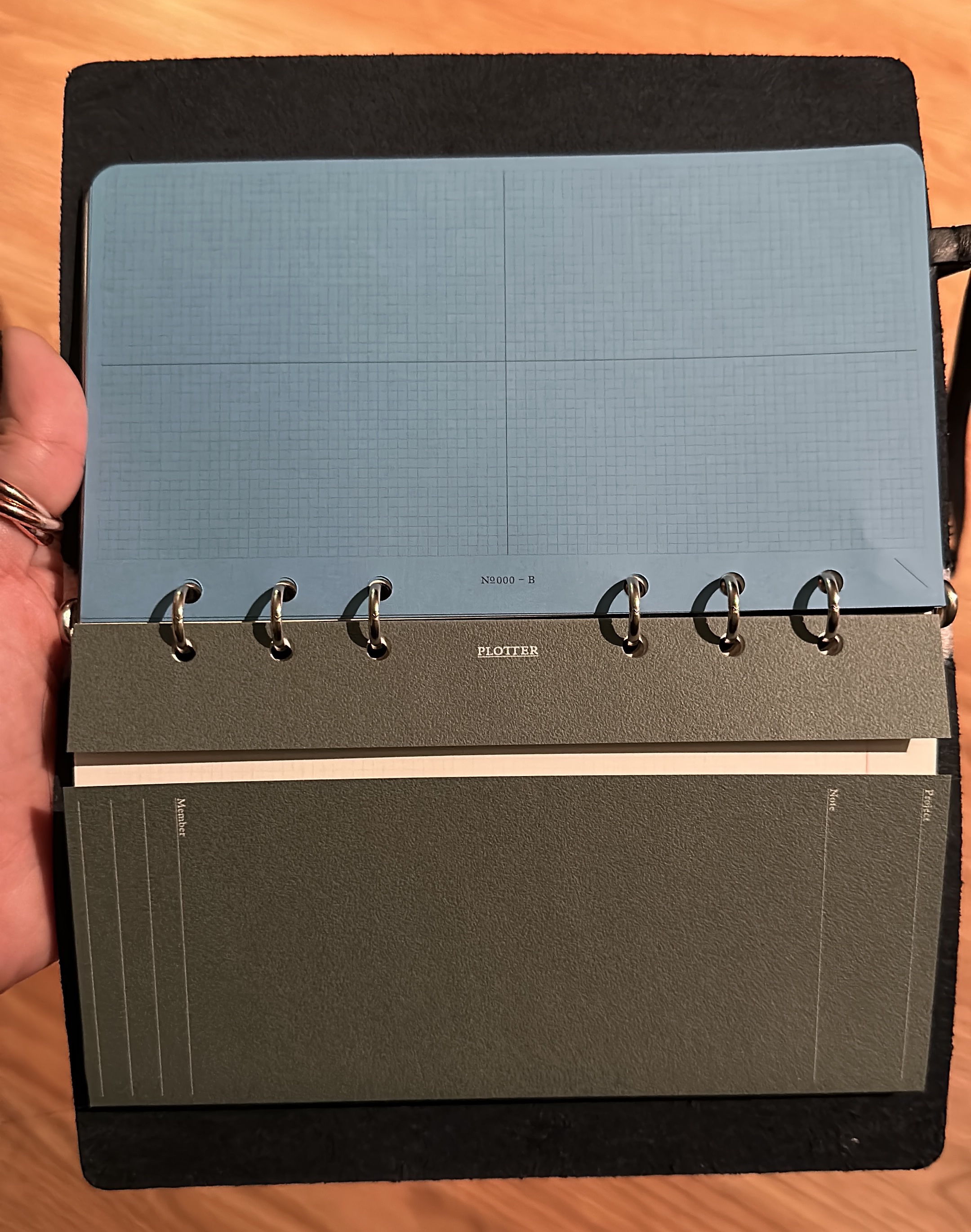 Planner profile: Plotter – Ask a Planner Nerd